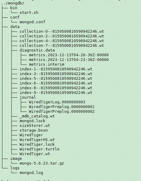 Docker部署MongoDB数据库_docker mongo operation not permitted-CSDN博客