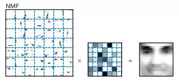 10X单细胞（10X空间转录组）数据分析之NMF（非负矩阵分解）_单细胞nmf-CSDN博客