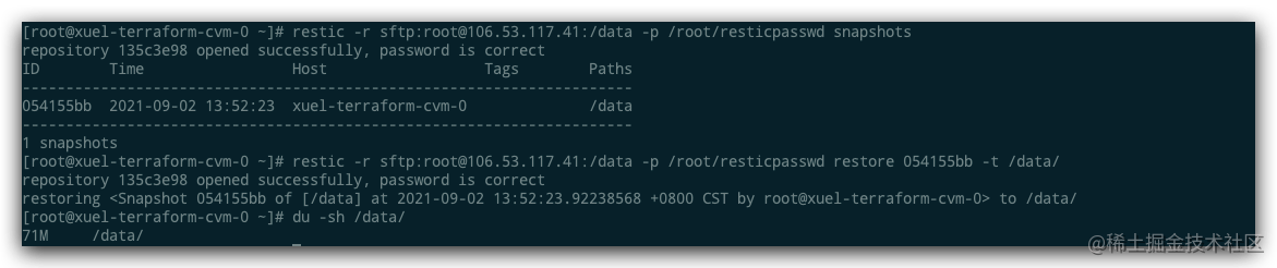 跨平台数据备份工具之restic详解_restic教程-CSDN博客