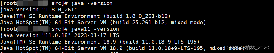 Linux环境下已有jdk1.8环境，增加jdk11环境_java1.8升级到java11-CSDN博客