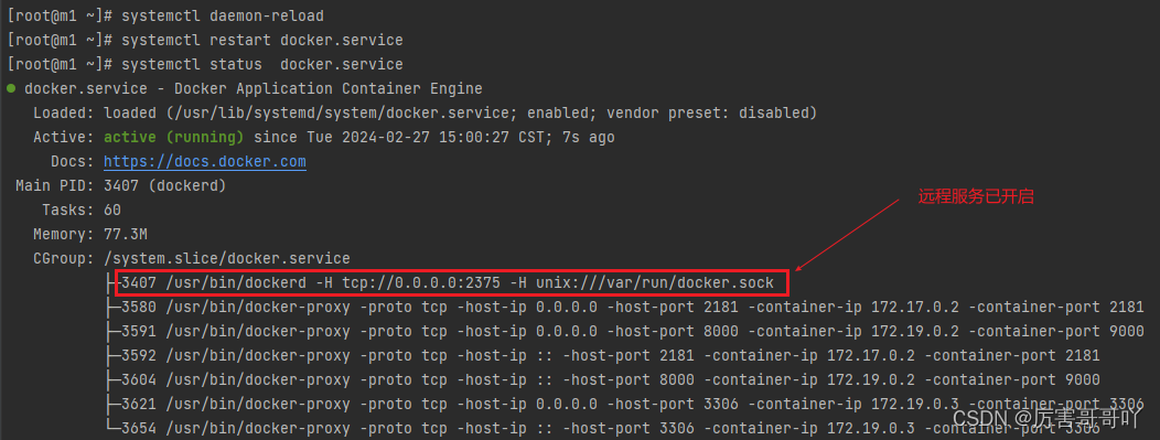 （二十）devops持续集成开发——使用jenkins的docker插件完成docker项目的流水线发布jenkins Docker 插件