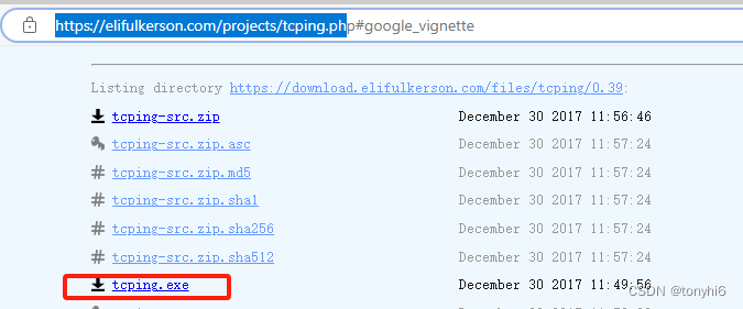 windows 10 安装tcping 使用教程_tcping安装-CSDN博客