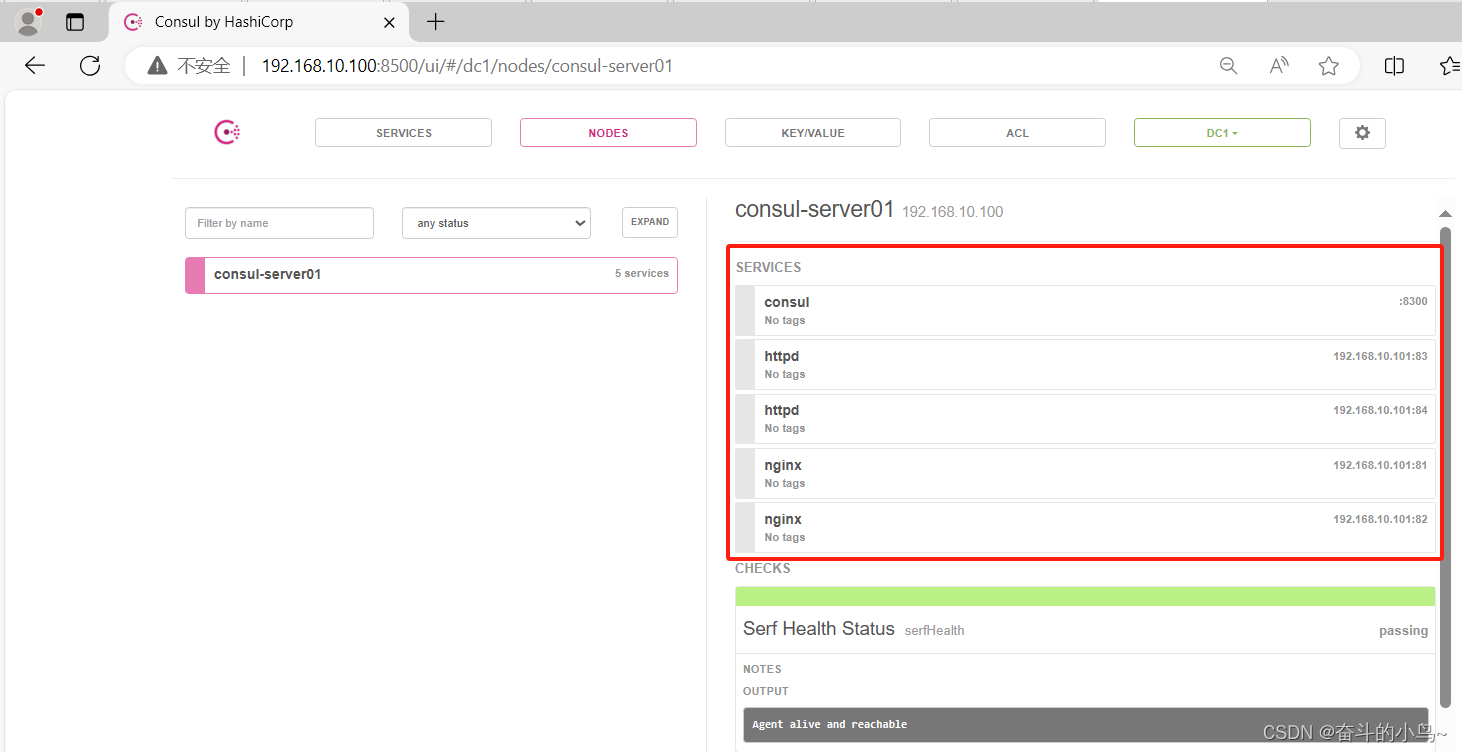 Docker容器---docker-Consul部署_consul docker-CSDN博客