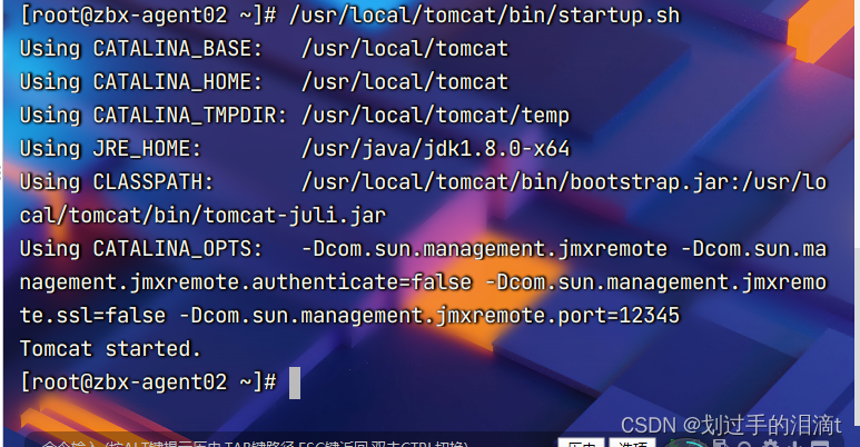 【zabbix】zabbix四大监控方式_zabbix jmx监控-CSDN博客