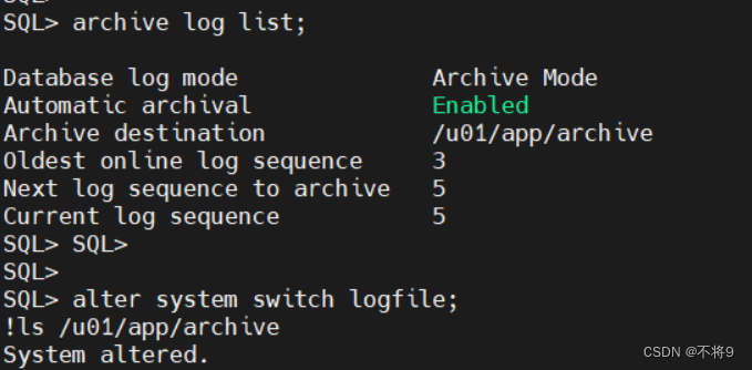 oracle19c adg搭建_oracle 19c adg-CSDN博客