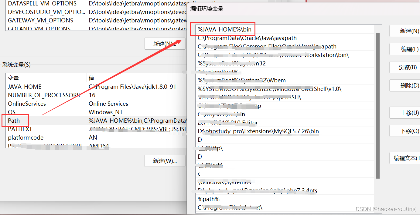 【探索Java编程：从入门到入狱】Day2-CSDN博客