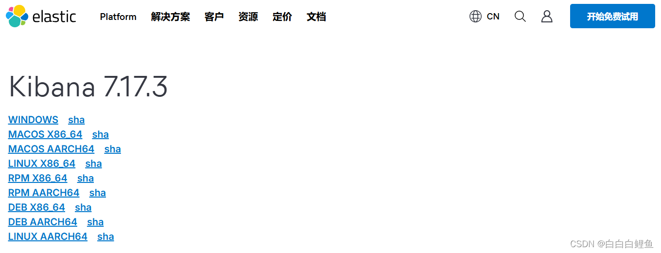 Elasticsearch 7.17.3 使用教程_elasticsearch7.17.3-CSDN博客