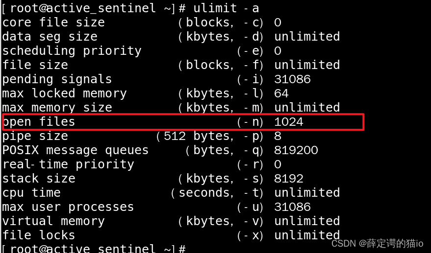Redis性能优化之Linux配置调优_redis集群高性能linux系统参数-CSDN博客
