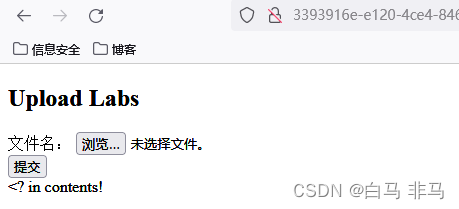 青少年CTF——CheckIn文件上传绕过——WriteUp_ctf checkin-CSDN博客