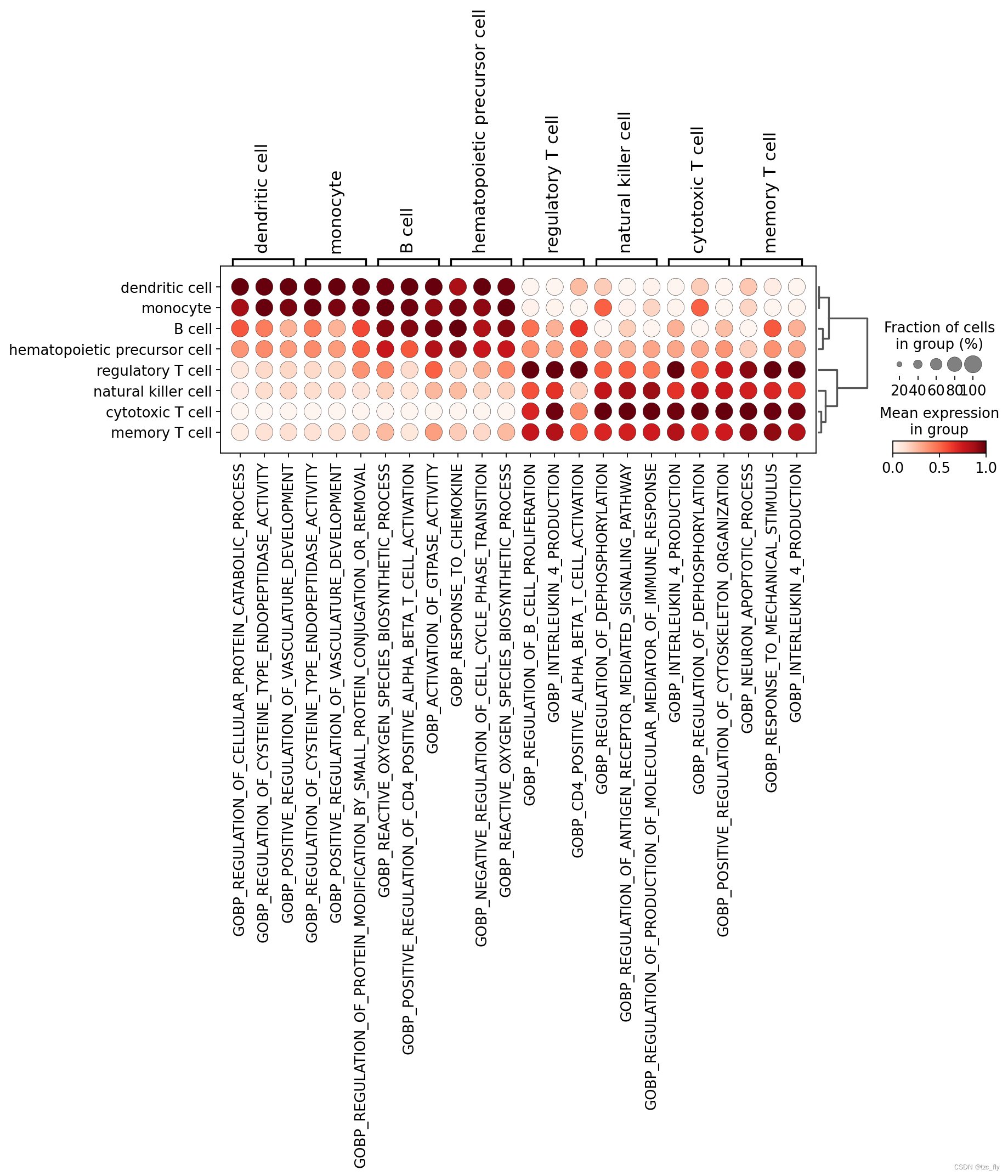 3.基于python的scRNA-seq细胞类型注释-自动注释（从参考到查询）_tosica-CSDN博客