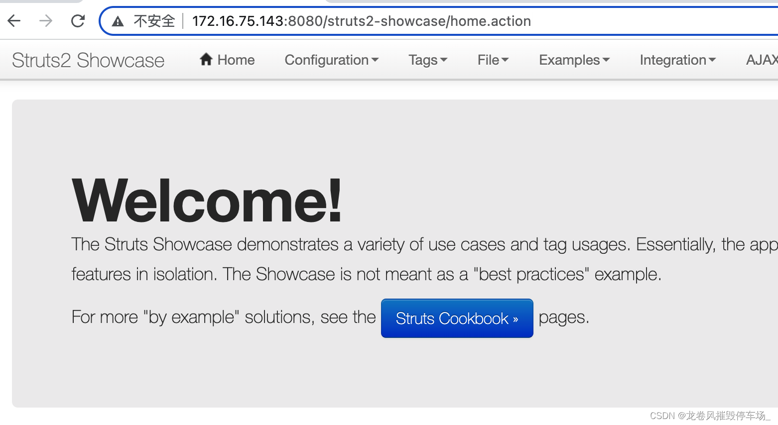 CVE-2016-3081-CSDN博客