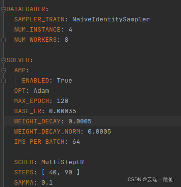 FastReID教程：参数调整、模型加载与数据集应用详解-CSDN博客