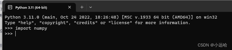 window11系统下Python3.11中安装numpy库教程_pypi.org下载numpy库-CSDN博客