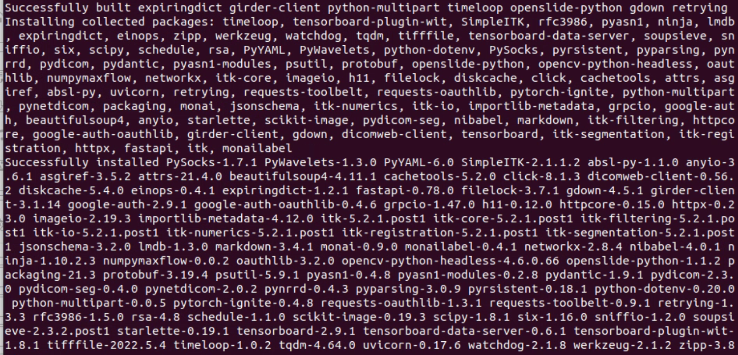 MONAI Label 安装流程及使用攻略_monailabel-CSDN博客