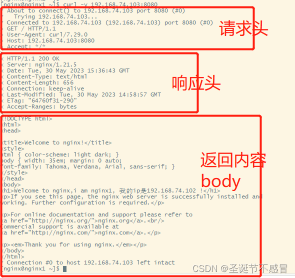 curl常用命令_curl -v-CSDN博客
