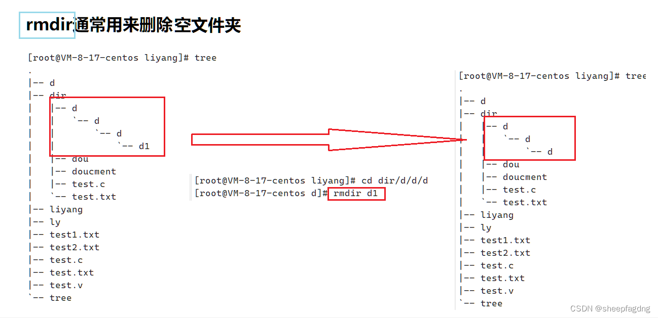 Linux简单指令|cd|touch|mkdir|rmdir|rm_简单命令cd-CSDN博客