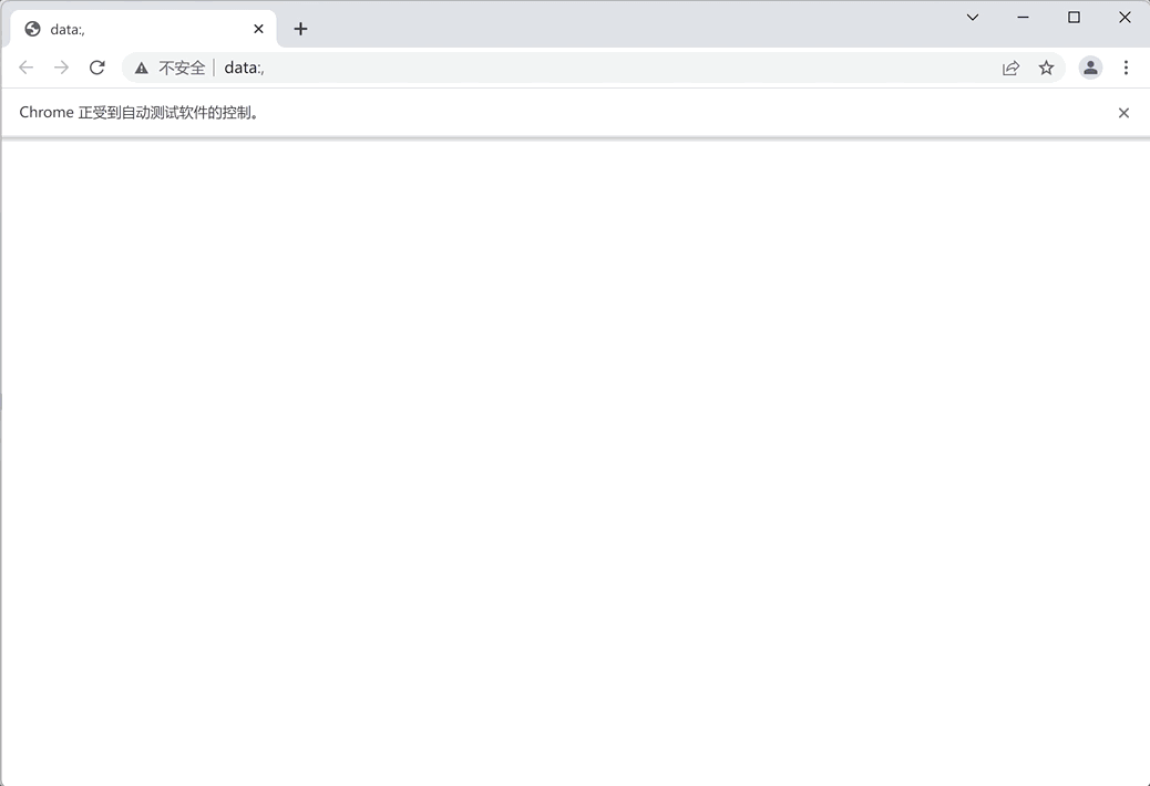 Selenium 与 Js 执行selenium 执行js Csdn博客 