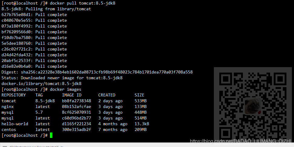 CentOS中使用Docker来部署Tomcat_docker centos tomcat-CSDN博客