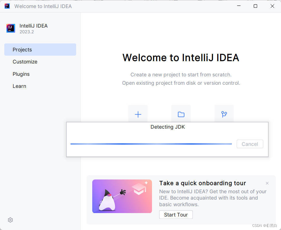 windows11中开启了WSL 后 使用较新的idea时，无法加载JDK一直Detecting..._window 11的wsl中使用idea-CSDN博客