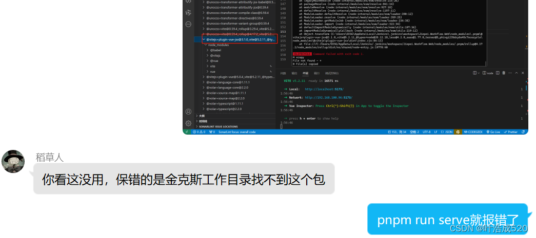 jenkins目录下的vue3项目——pnpm install后运行报错——奇葩问题解决_pnpm install 报错-CSDN博客