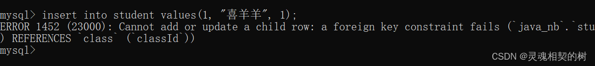 【MySQL】五种约束类型, 主键和外键的使用方式(重点)_mysql primary key怎么使用-CSDN博客