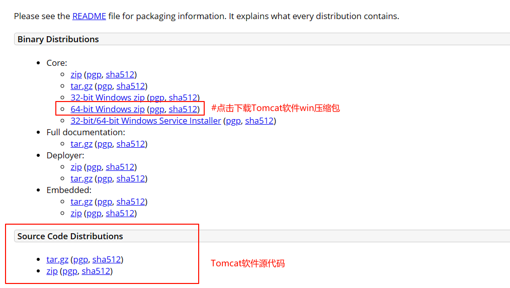 【Java Web】Tomcat服务器_java web tomcat-CSDN博客