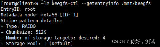 基于CentOS7安装配置BeeGFS并行文件系统（已试验部署成功）_beegfs安装配置-CSDN博客