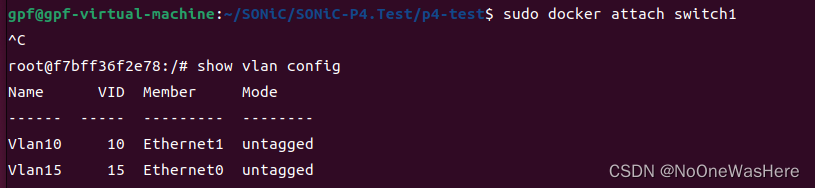 SONiC-P4实验搭建及研究SONiC管理的交换机_sonic管理可编程交换机-CSDN博客
