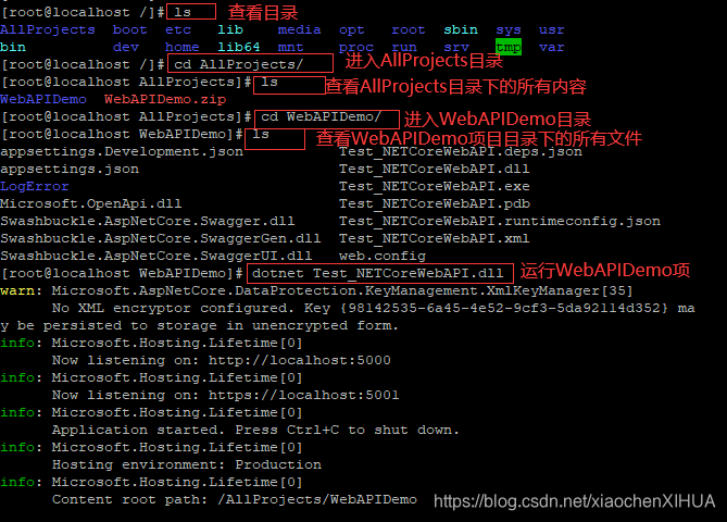 ASP.Net Core Web Api在Centos8服务器上部署_api部署到cemtos怎么配置地址-CSDN博客
