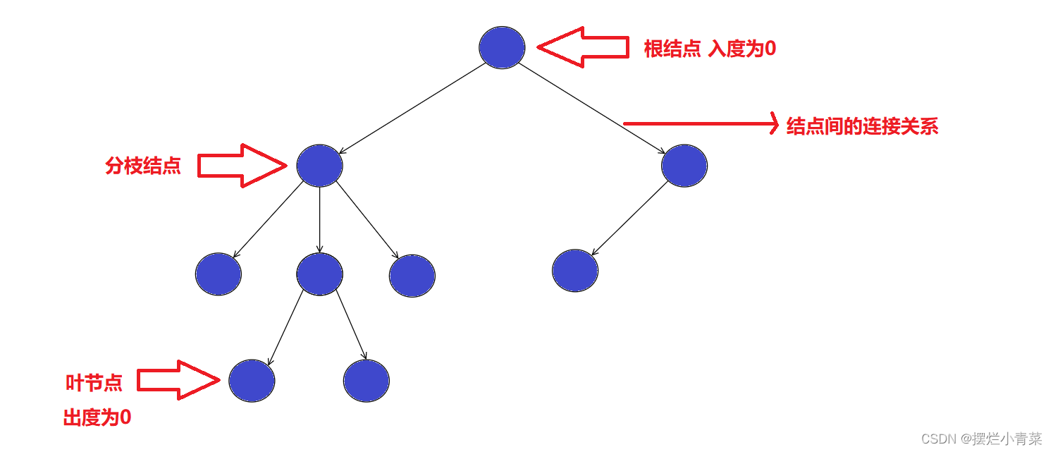 数据结构二叉树概念篇算法基础有向树 Csdn博客