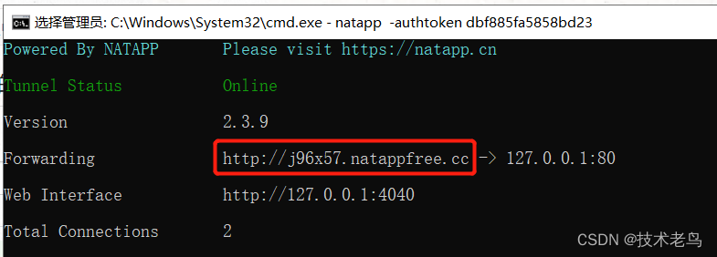 实现内网穿透-netapp_内网穿透netapp-CSDN博客