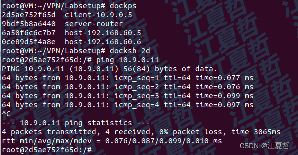 V*N Lab: The Container Version_v*n lab: the container version(seed labs)-CSDN博客