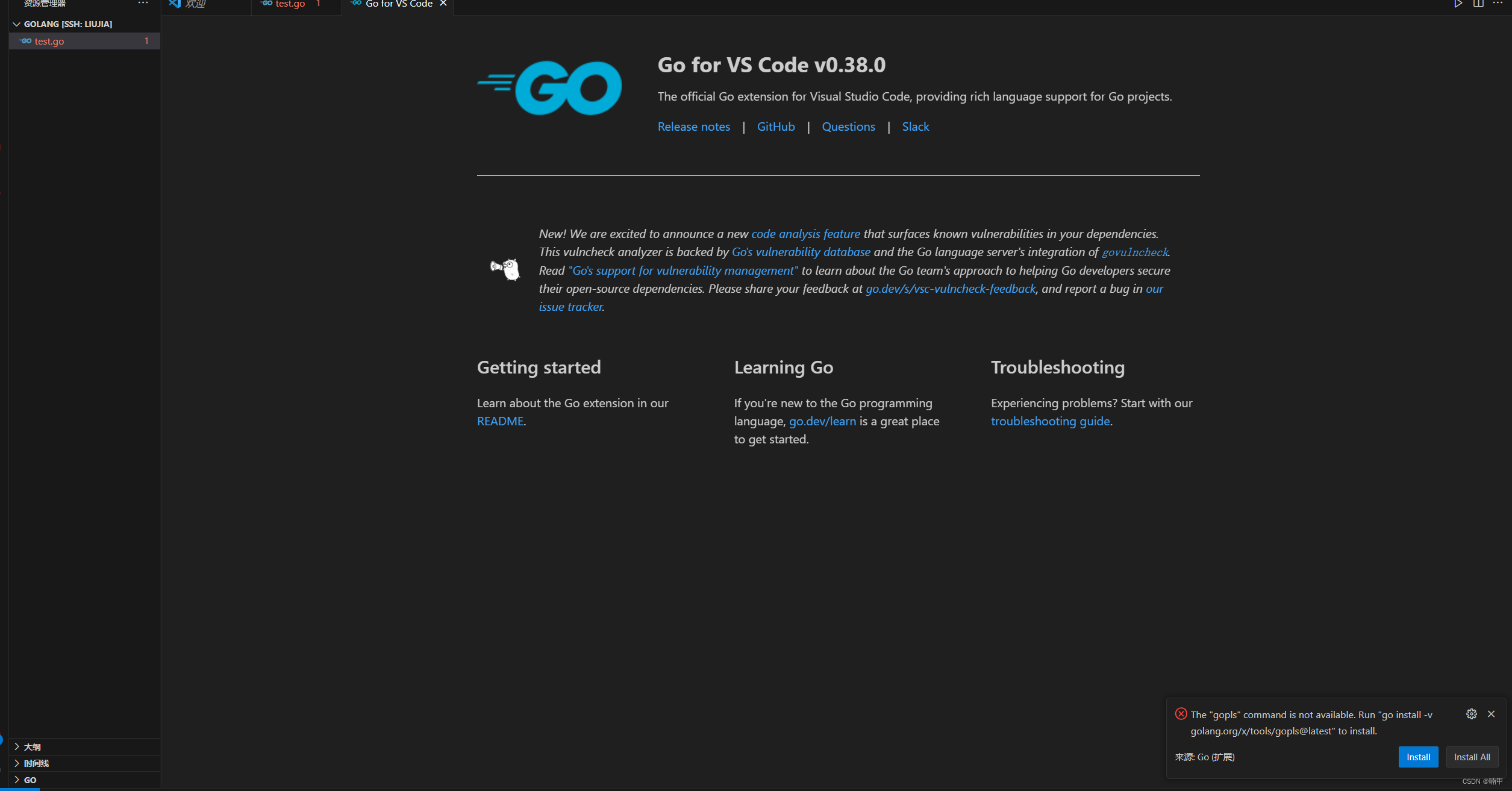 Linux+VSCode搭建Golang开发环境_linux下vscode搭建golang开发环境-CSDN博客