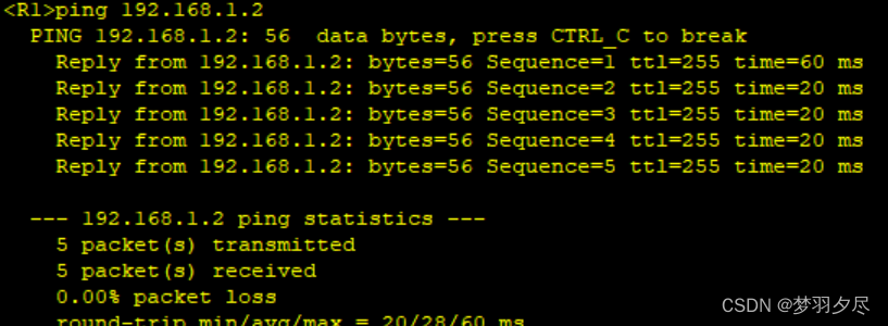 PPP验证实验-CSDN博客