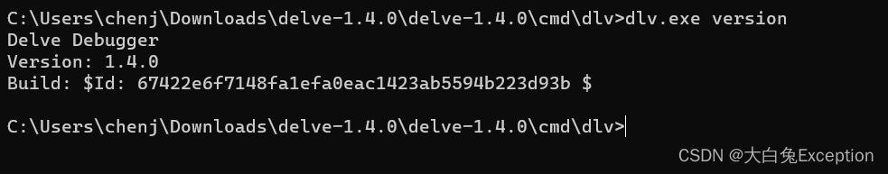 dlv版本太高导致低版本的go项目无法调试【已解决】- Go version go1.15.15 is too old for this version of Delve_dlv 版本-CSDN博客