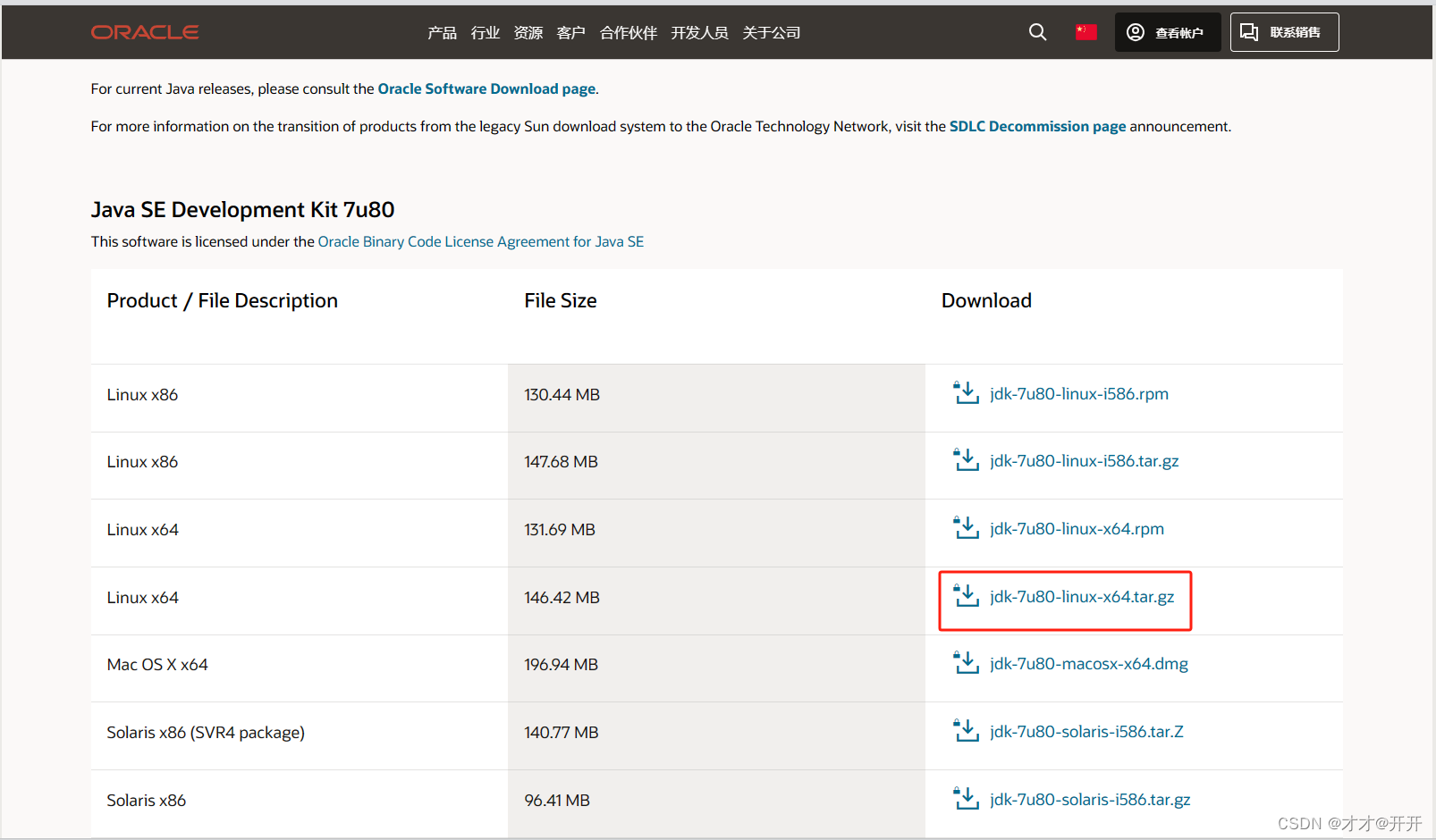 ip2region IPV4&IPV6 java 编译生成地址库_ip2region ipv6-CSDN博客