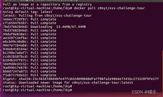 使用docker搭建xss挑战之旅环境_docker search xss-CSDN博客