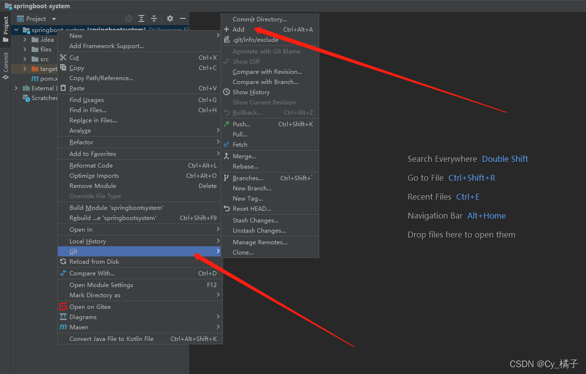 （小记）IDEA+Gitee管理项目（本地项目上传码云）_master → empty repository-CSDN博客