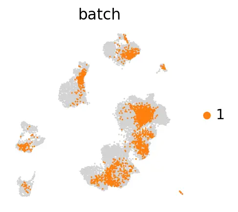 10X单细胞（10X空间转录组）scanpy做多样本整合的智慧（bbknn）_scanpy多样本整合-CSDN博客