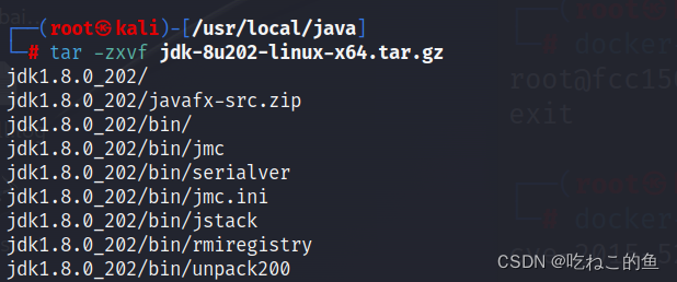 记一次jmet报错信息Exception in thread “main“ java.lang.IllegalAccessError: class ysoserial.payloads ...