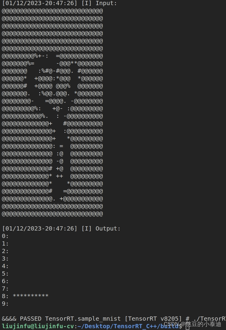 TensorRT学习笔记--官方示例sampleMNIST.cpp的理解与运行_buffers.gethostbuffer-CSDN博客
