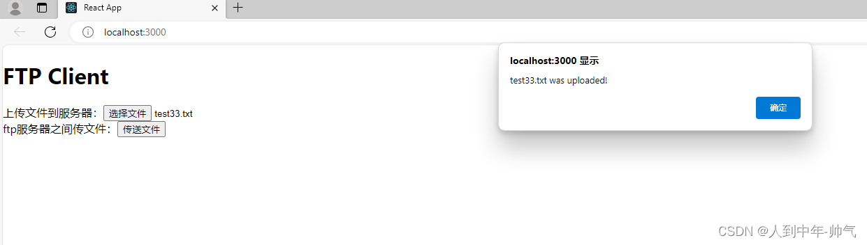 js实现上传文件到ftp服务器上_jsftp-CSDN博客