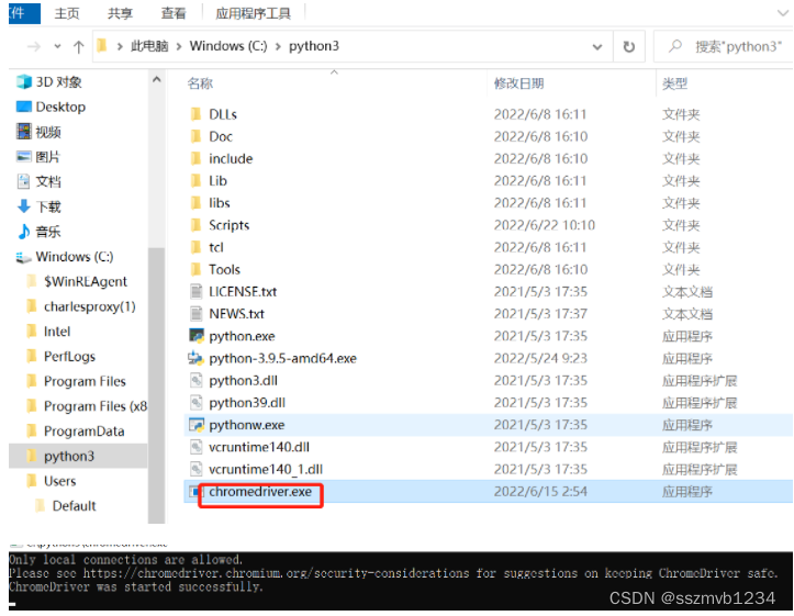 Python+Selenium4环境搭建_selenium4集成-CSDN博客