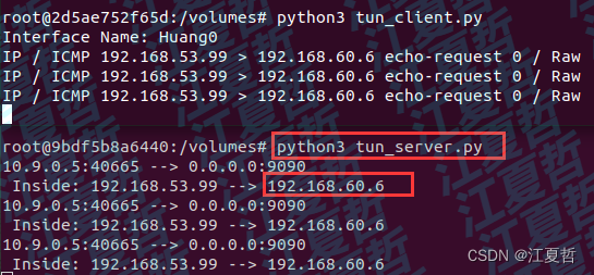 V*N Lab: The Container Version_v*n lab: the container version(seed labs)-CSDN博客