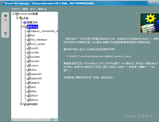 Oracle NetConfigurationAssistant与NetManager配置详解-CSDN博客