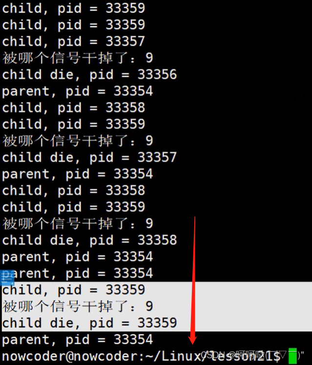 基于linux下的高并发服务器开发（第二章）- 2.9 waitpid 函数-CSDN博客