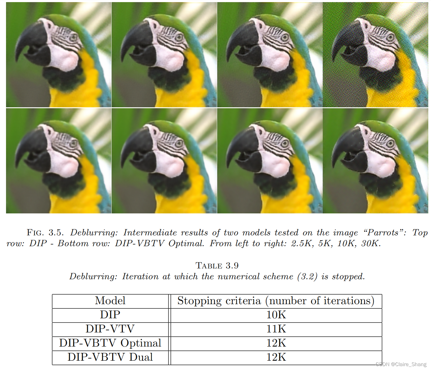 DIP-VBTV: Color Image Restoration Model Combining Deep Image Prior and ...