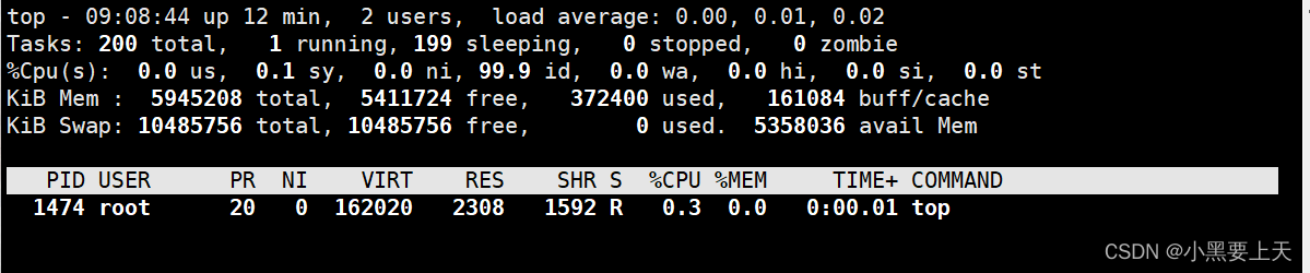 Linux命令(41)之top_top刷新间隔-CSDN博客