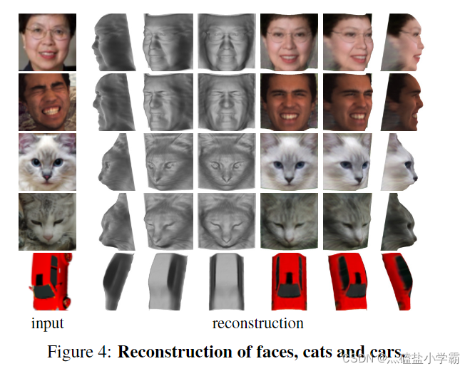 Unsupervised Learning of Probably Symmetric Deformable 3D Objects from Images in the Wild-CSDN博客