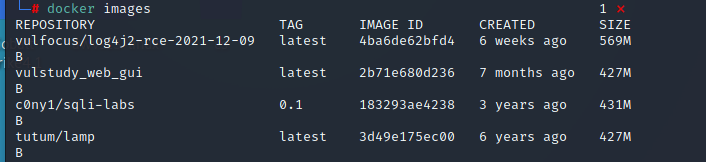 log4j2漏洞复现（附docker靶场环境）_apache log4j2能攻击docker网络内的服务么-CSDN博客